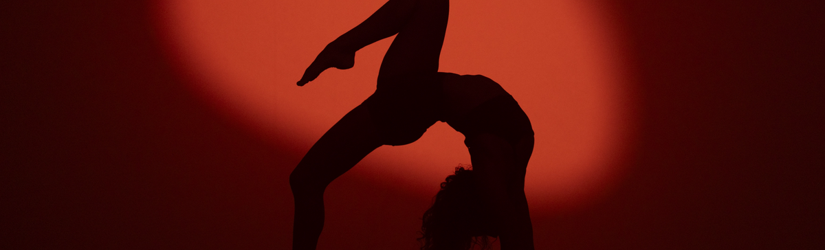 Compare SaunaSpace Products | Firelight Series Guide